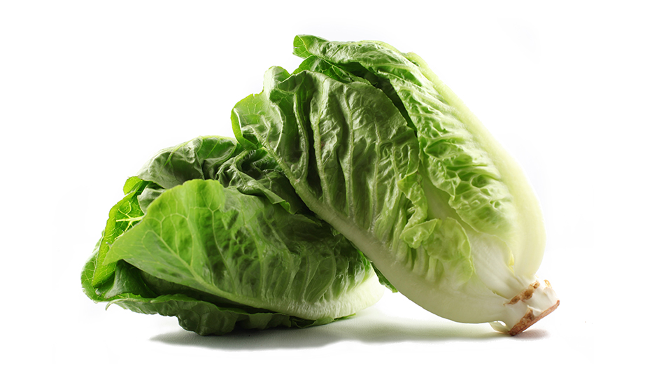 GO POSCHTA, Fine Food, Getränke, Post